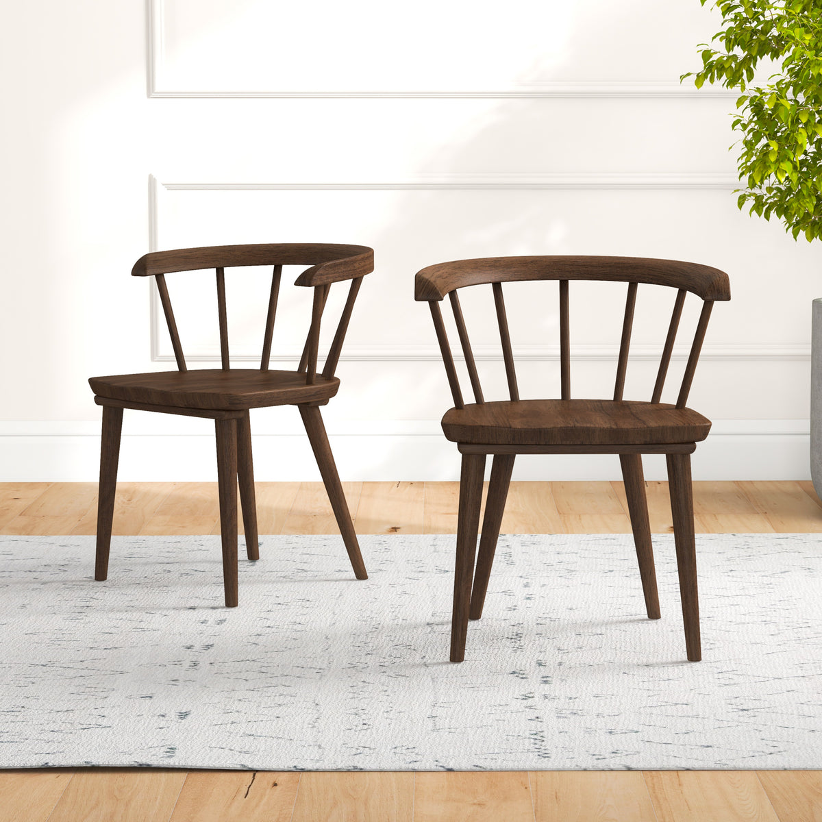 Mabel Dining Chair | Mid in Mod